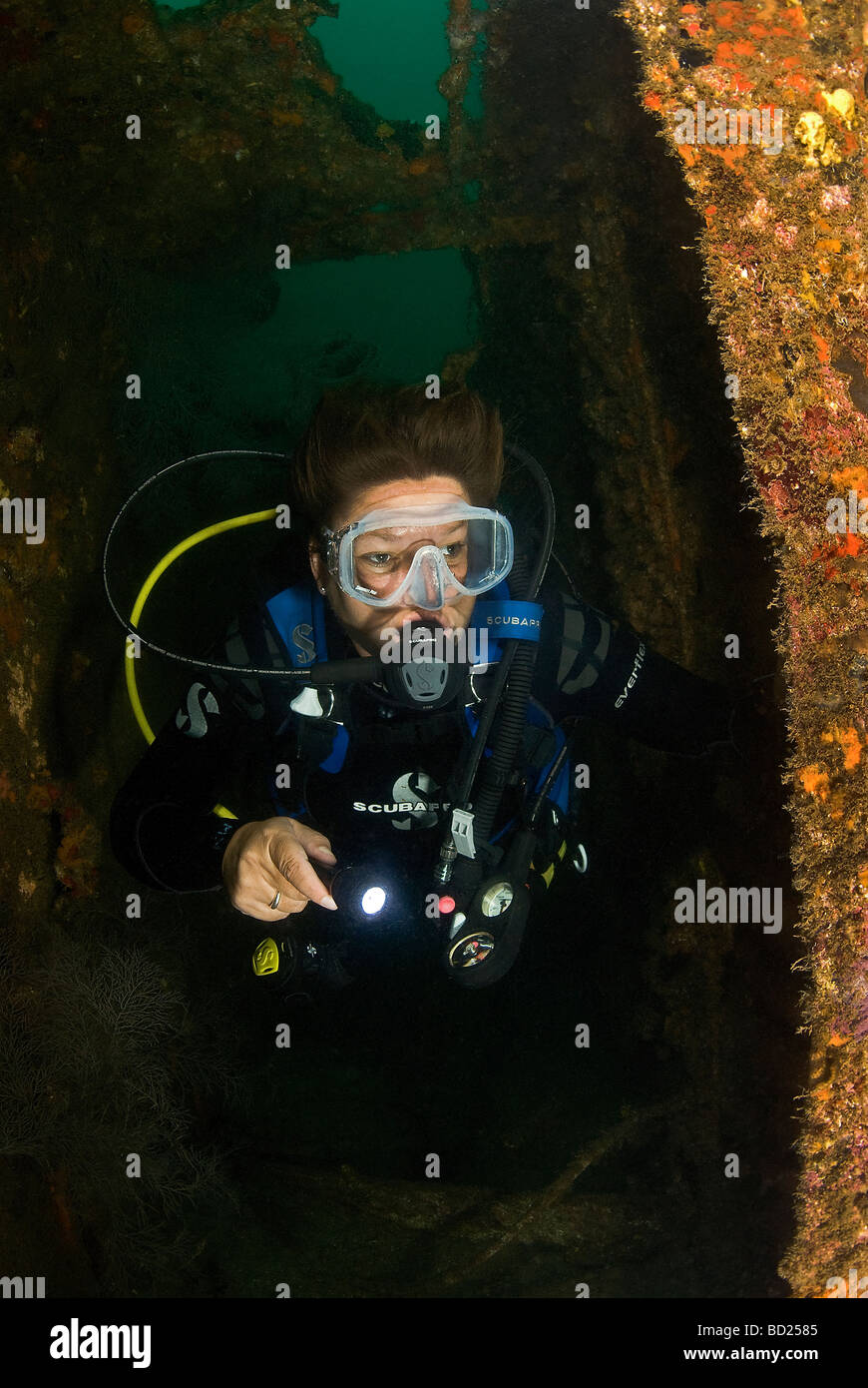 Diving inside wreck hi-res stock photography and images - Alamy