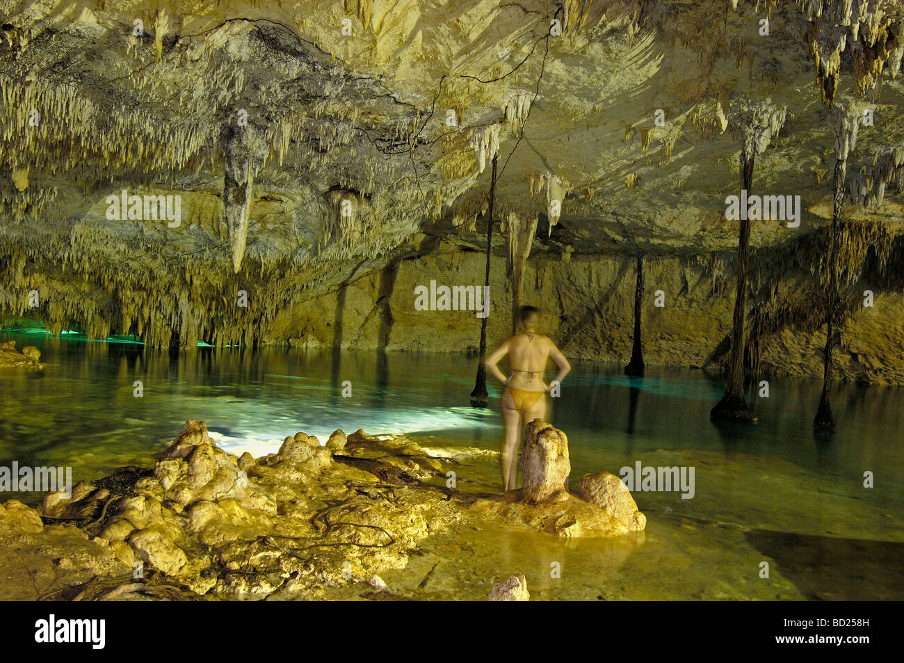 Cenote Hidden Worlds Cenotes park Tulum Quintana Roo state Mayan ...