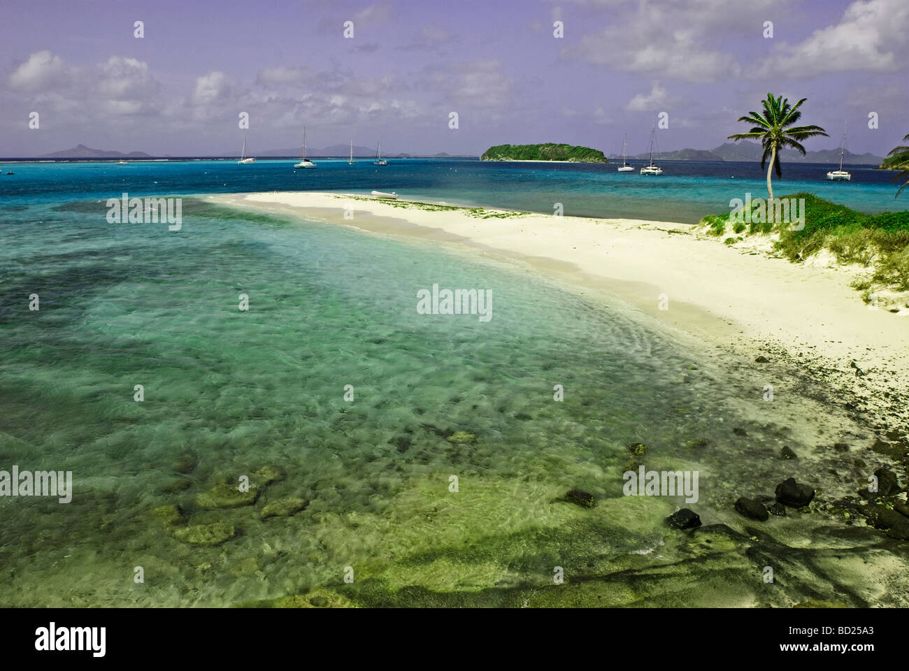 The Tobago Cays - from shore Stock Photo - Alamy
