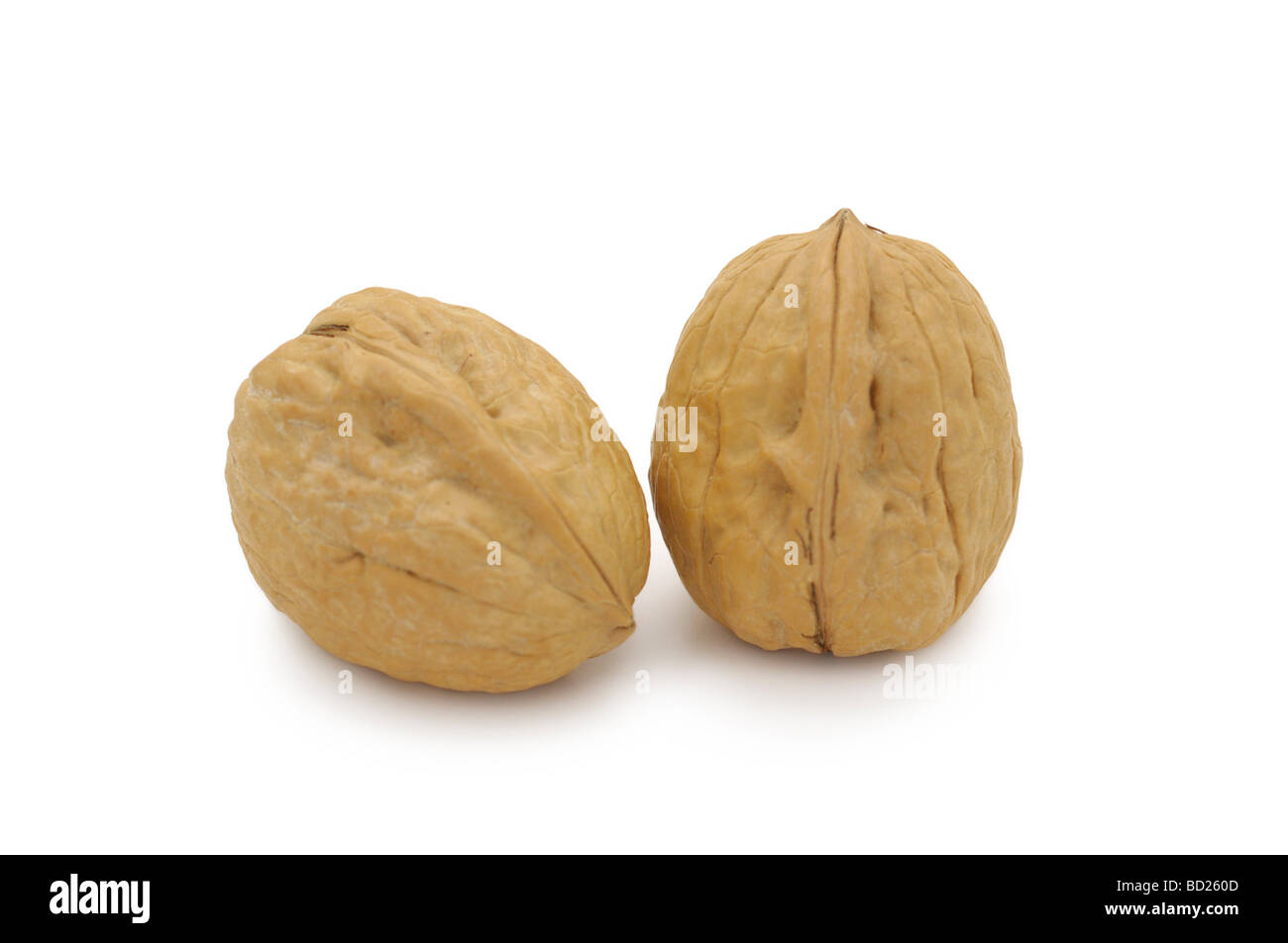 Walnut whole hi-res stock photography and images - Alamy