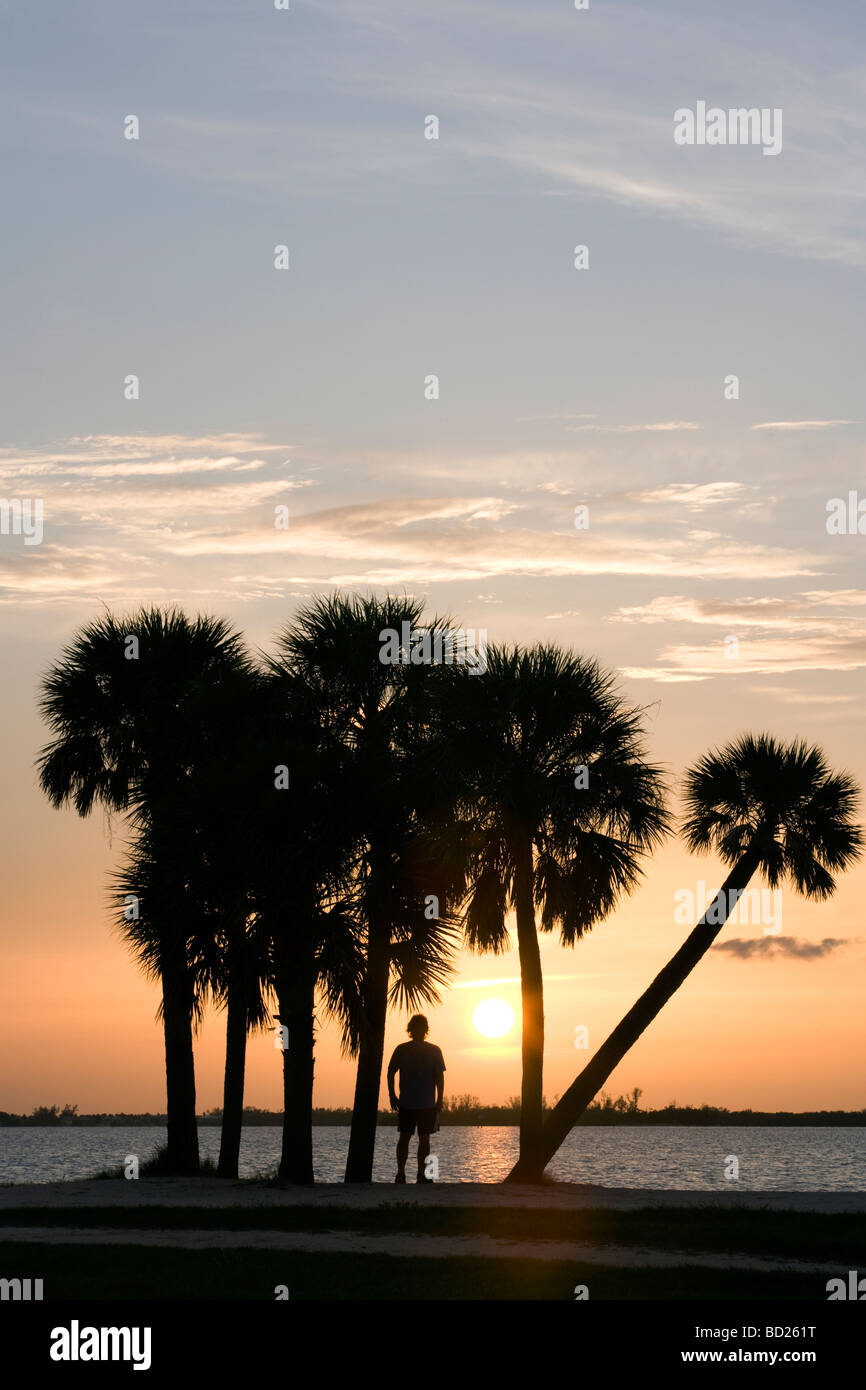 Palm Trees at Sunset - Sanibel Island Causeway - Sanibel Island ...
