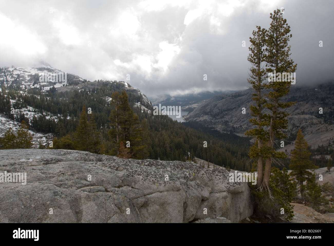 Glacially carved Tenaya Lake Stock Photo - Alamy Glacially carved Tenaya Lake Stock Photo - Alamy