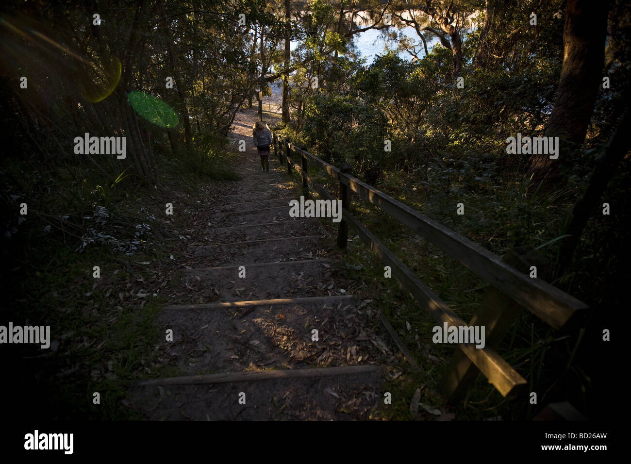 Bush step hi-res stock photography and images - Alamy