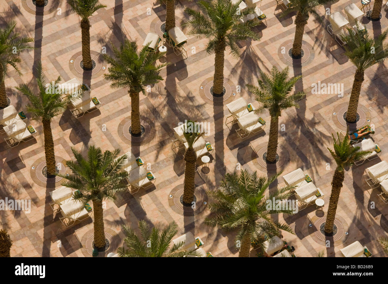 Dubai palm trees hi-res stock photography and images - Alamy