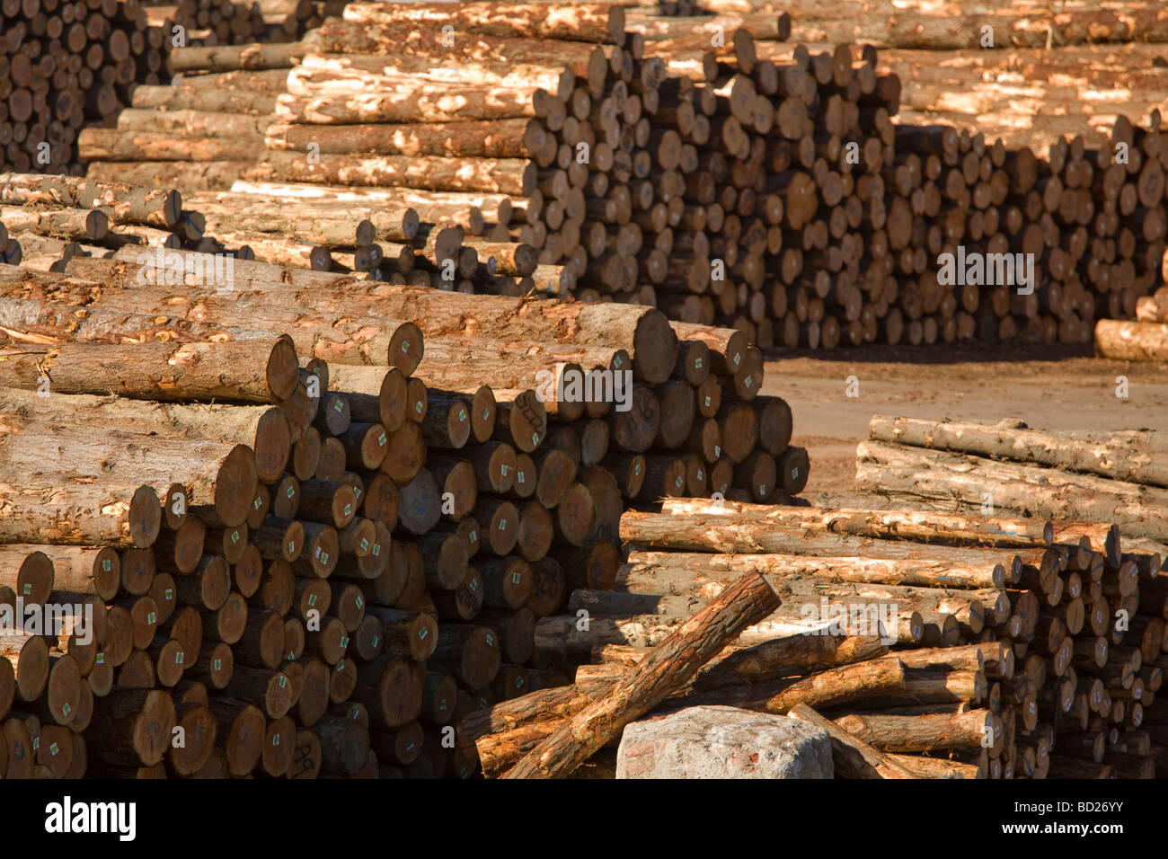 Logs cargo hi-res stock photography and images - Alamy