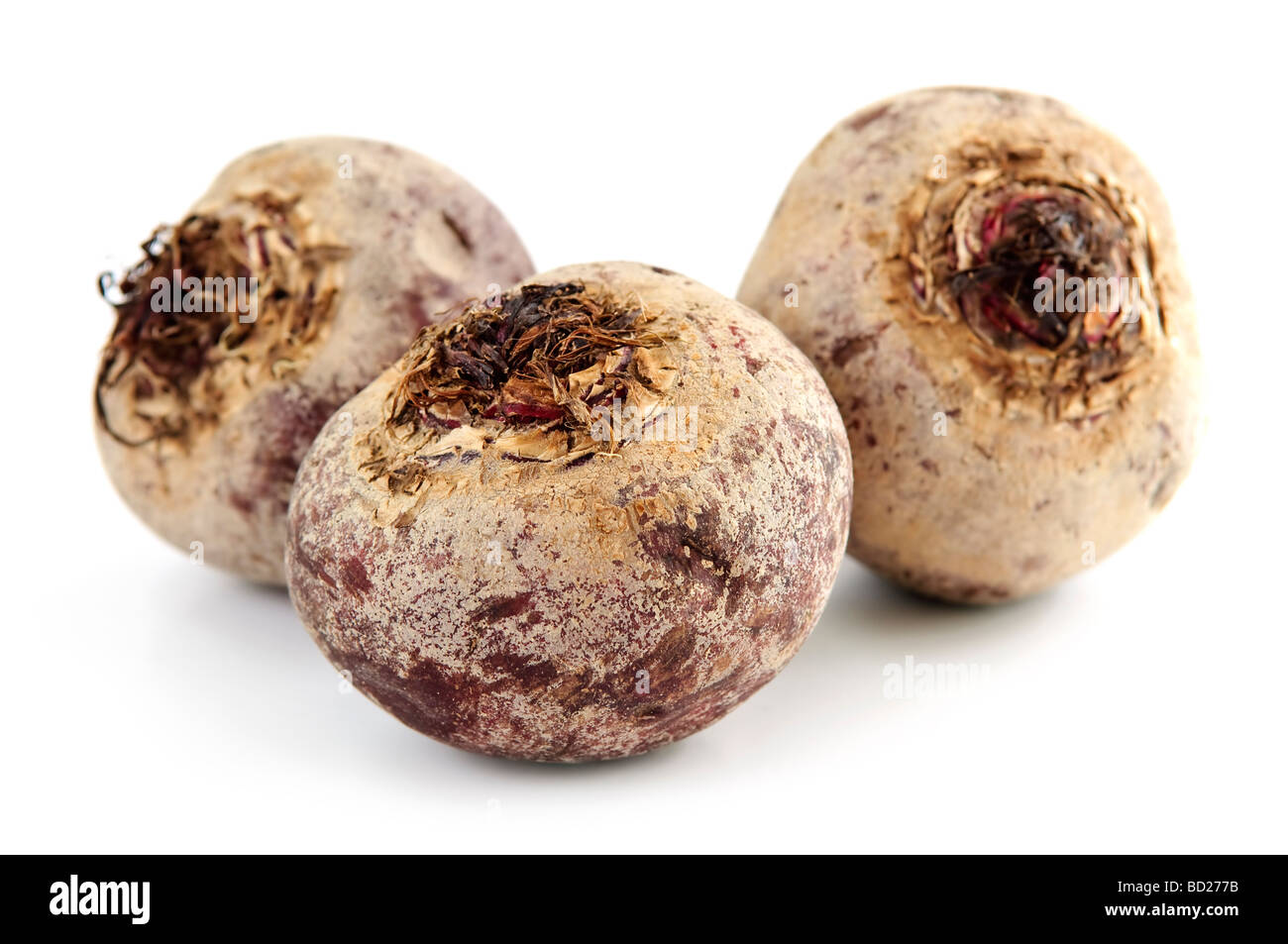 Sugar beet hi-res stock photography and images - Alamy