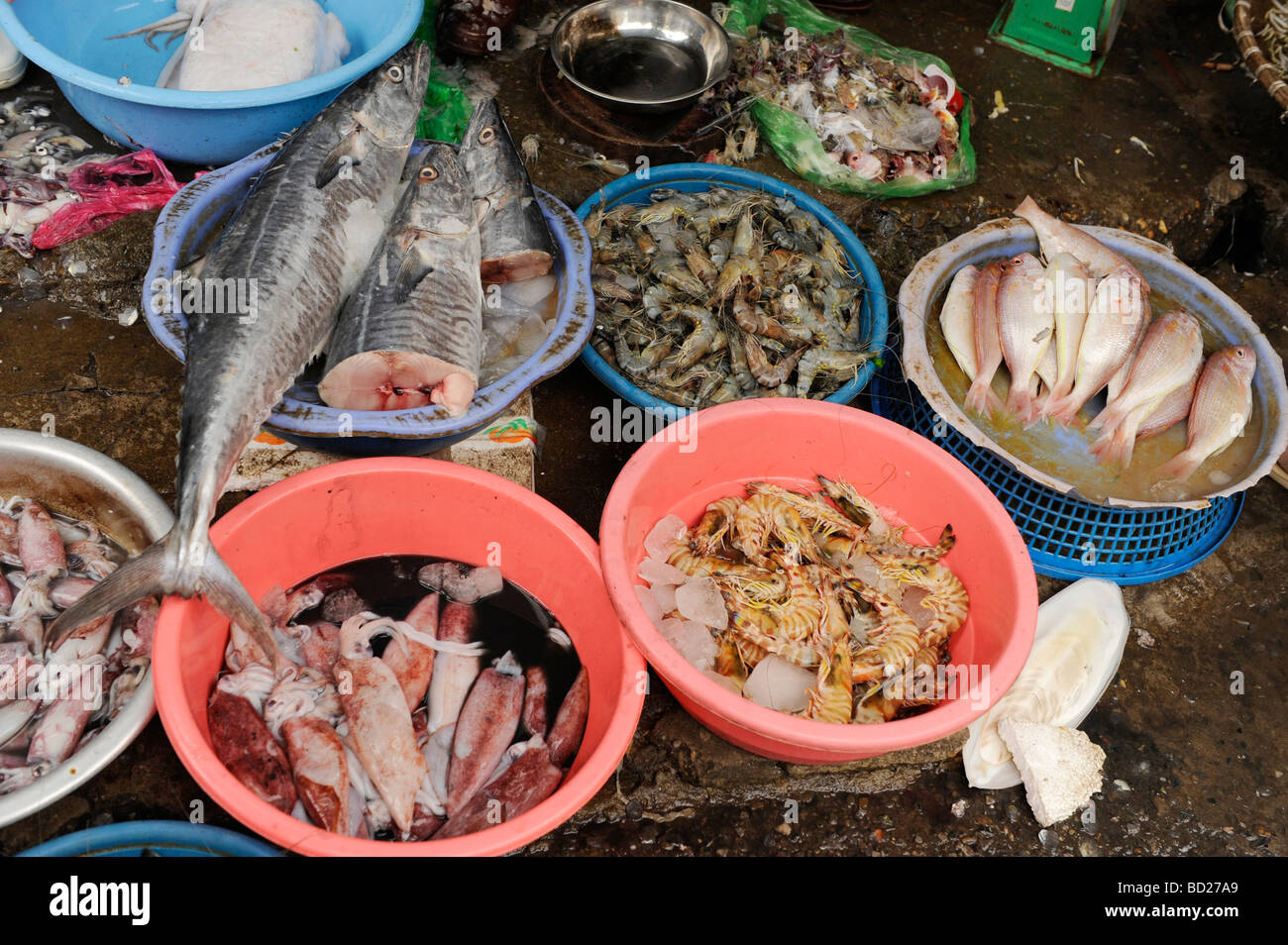 Seafood section hi-res stock photography and images - Alamy