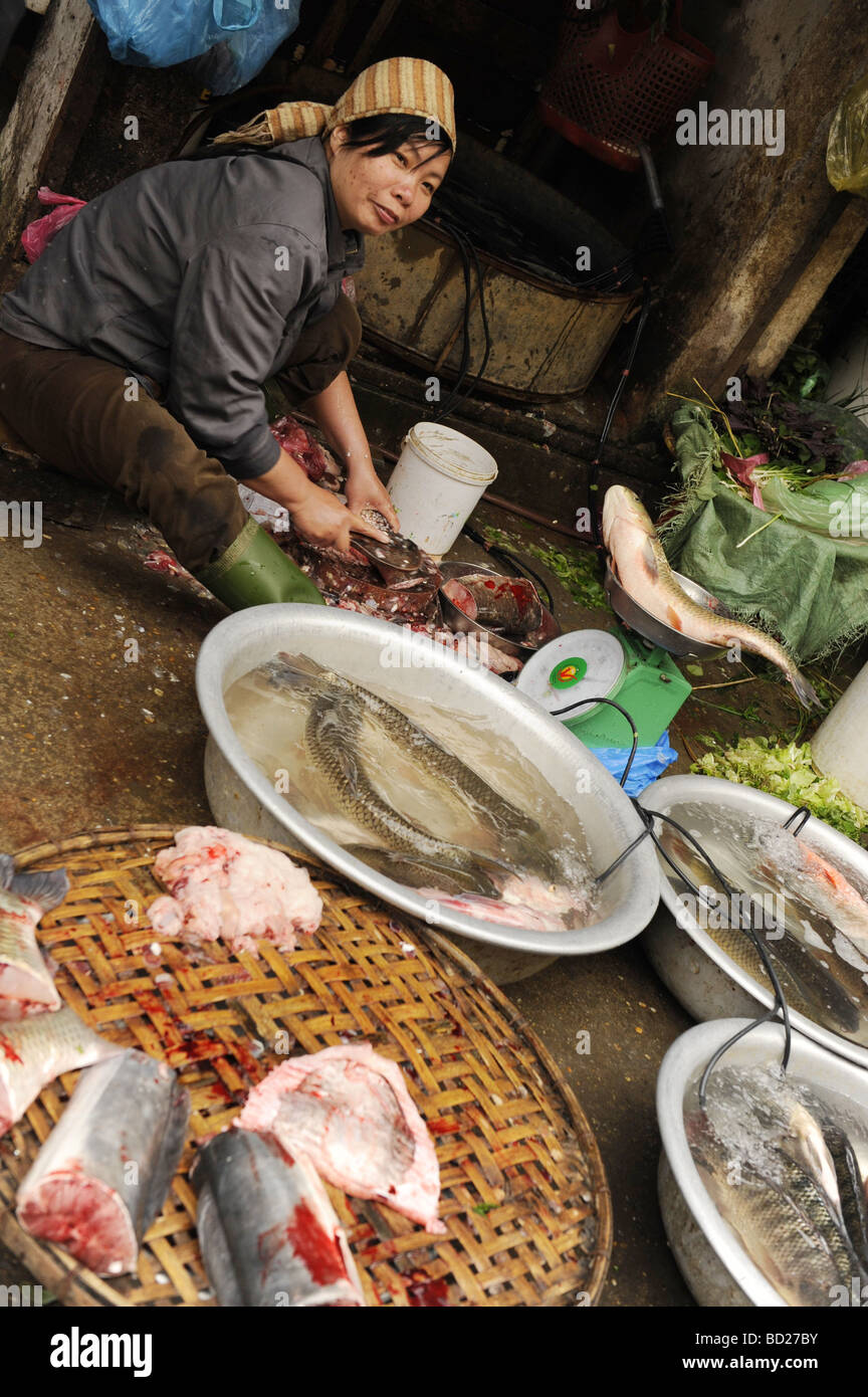 fishwife cleaning fish at fresh market in Old Quarter, Hanoi, Vietnam ...
