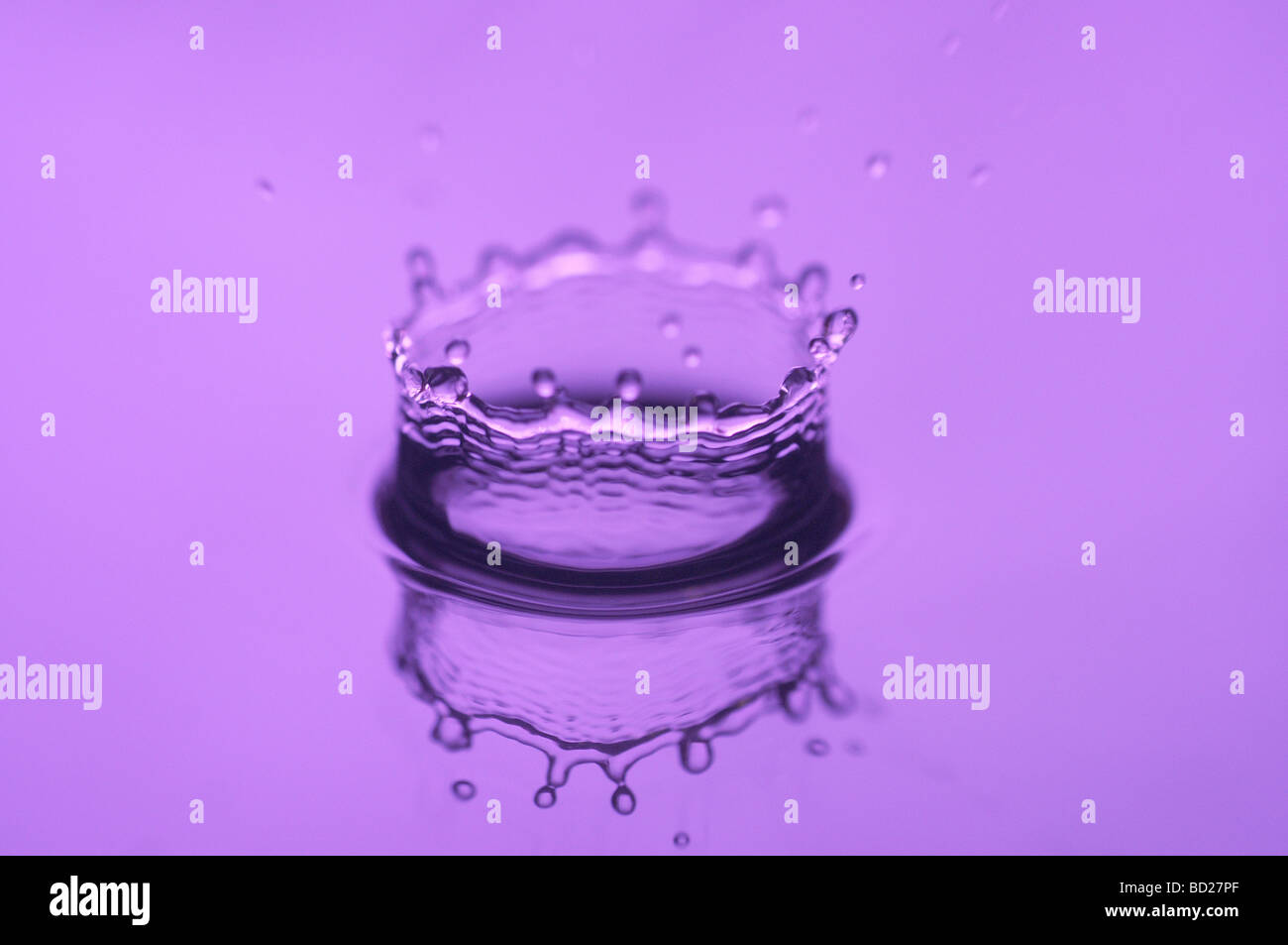 Surface tension ripple hi-res stock photography and images - Alamy