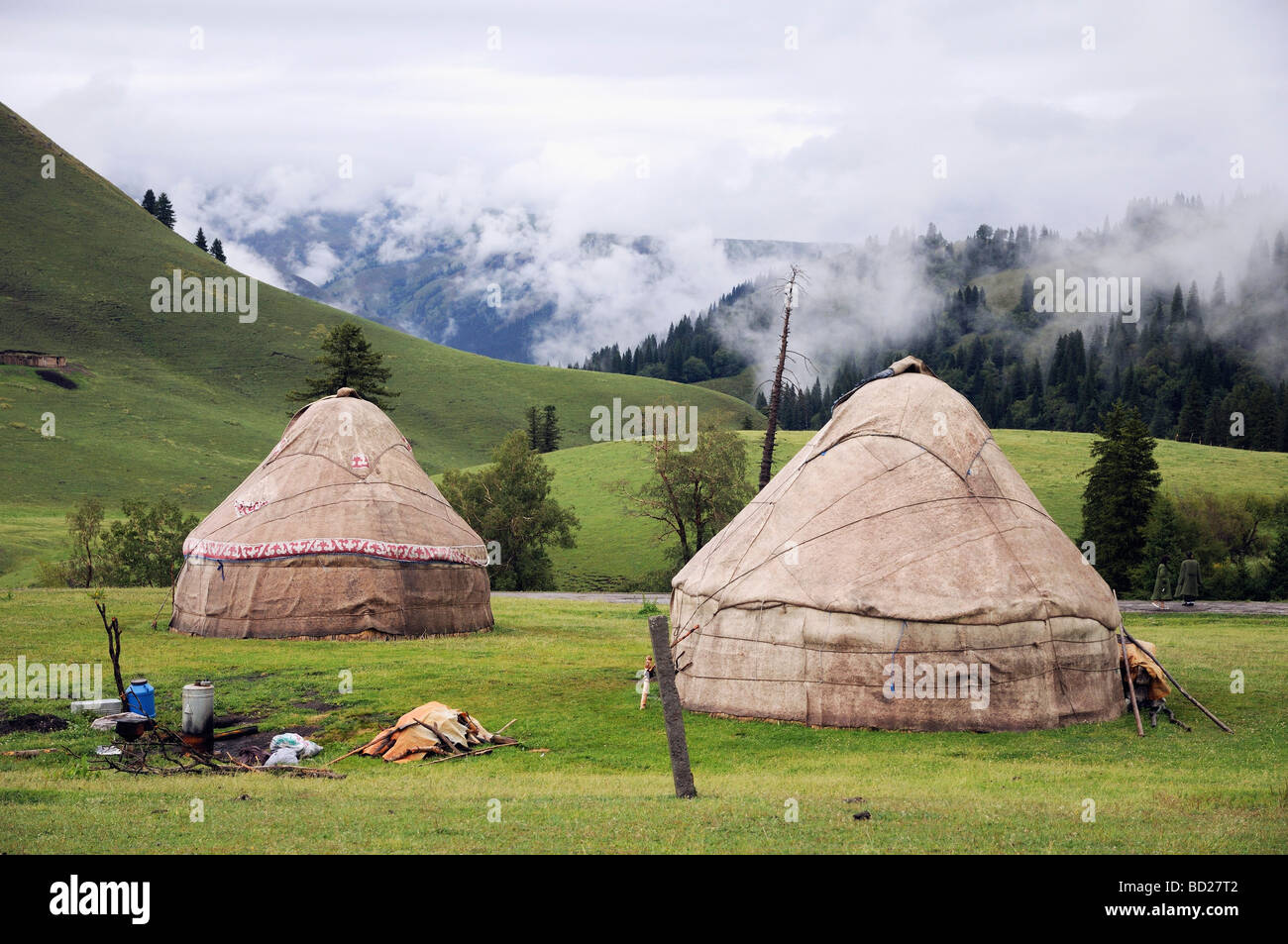 Nalati grassland hi-res stock photography and images - Alamy