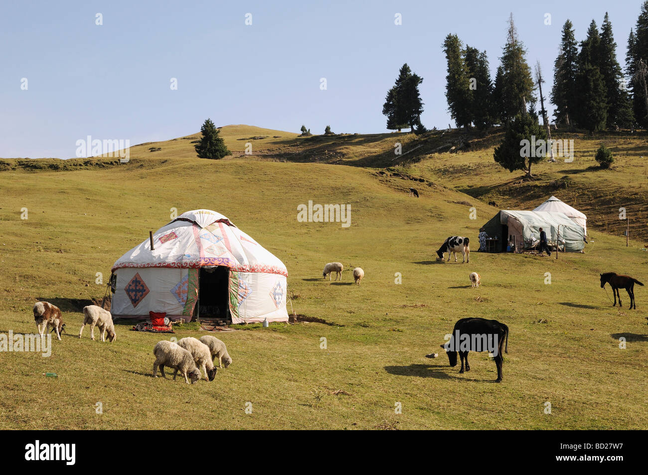 Nalati grassland,Xinjiang province,China Stock Photo - Alamy