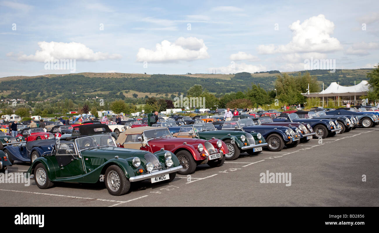 Cheltenham line up racecourse hi-res stock photography and images - Alamy