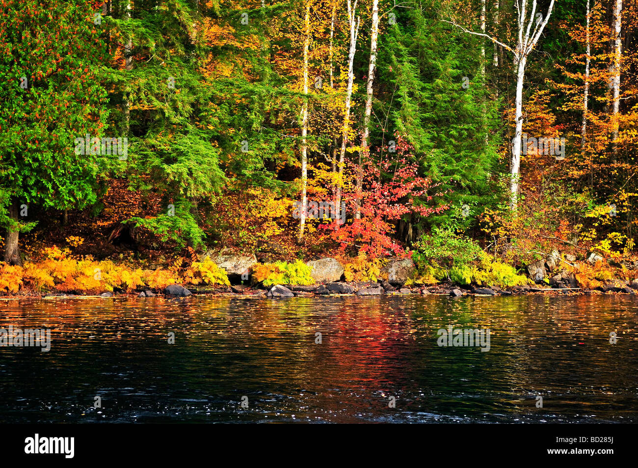 Fall lake shore forest hi-res stock photography and images - Alamy