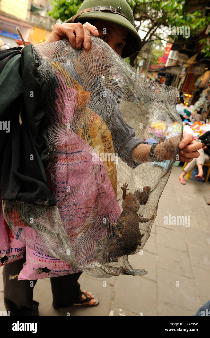 Vietnamese man selling gecko in Old Quarter, Hanoi, Vietnam Stock Photo ...