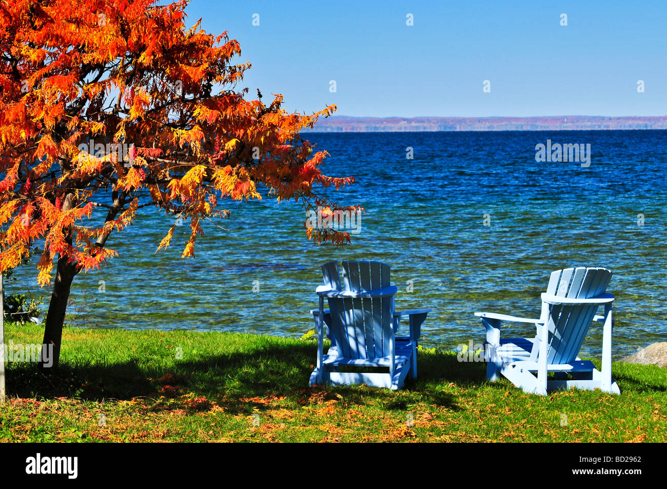 Wooden muskoka chairs under fall tree at lake Stock Photo - Alamy