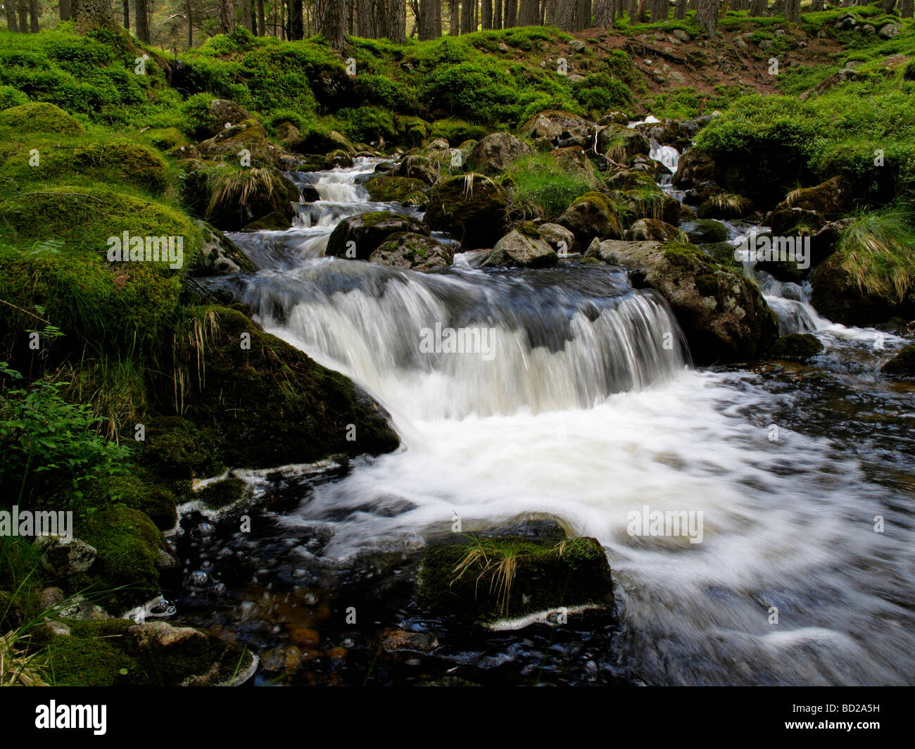 Waterfall cairngorms hi-res stock photography and images - Alamy