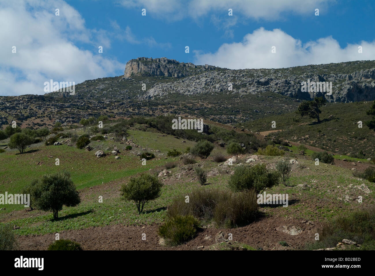Landscape with the Rif mountains Morocco Stock Photo - Alamy