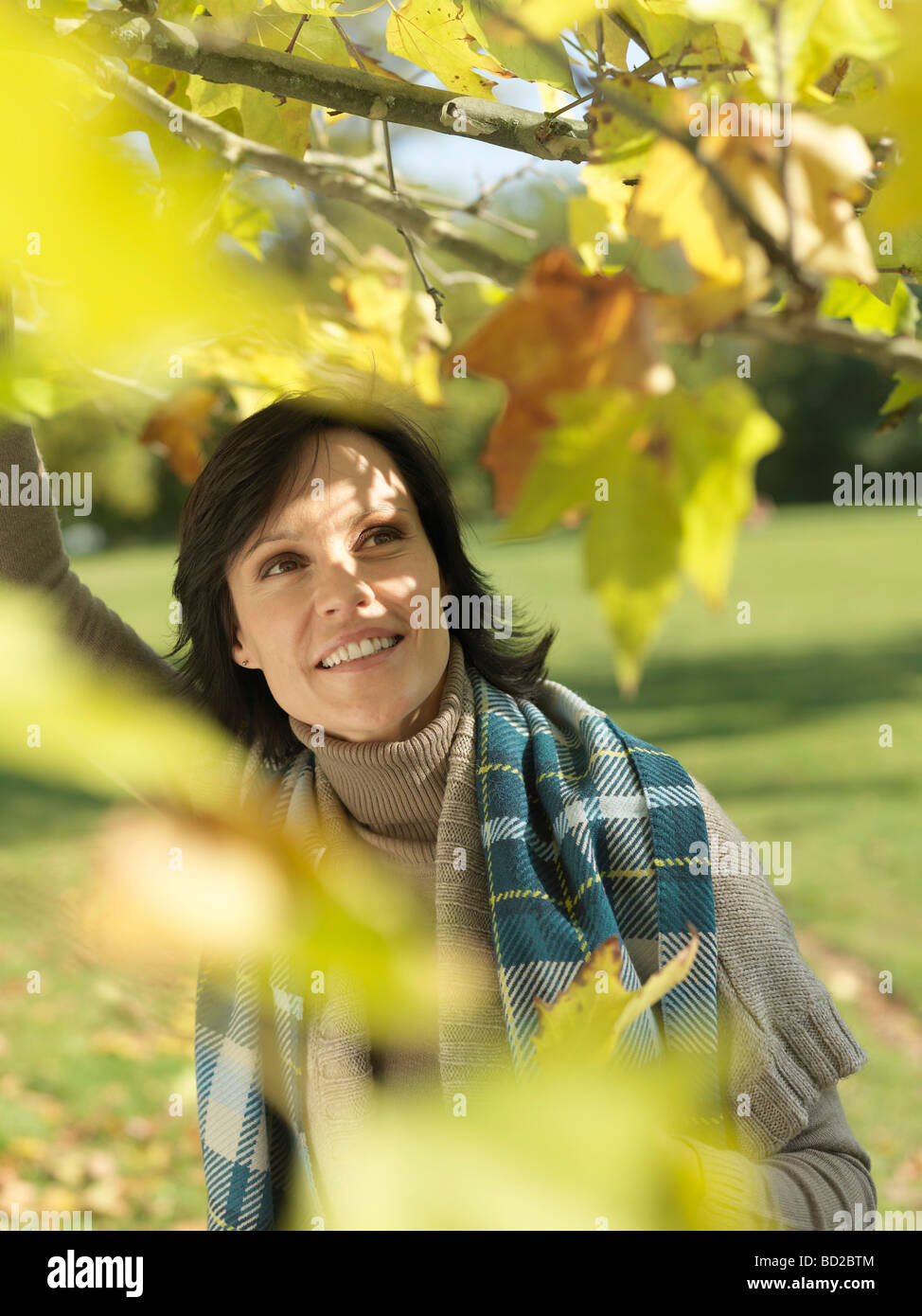Woman looking at Autumn tree branches Stock Photo - Alamy