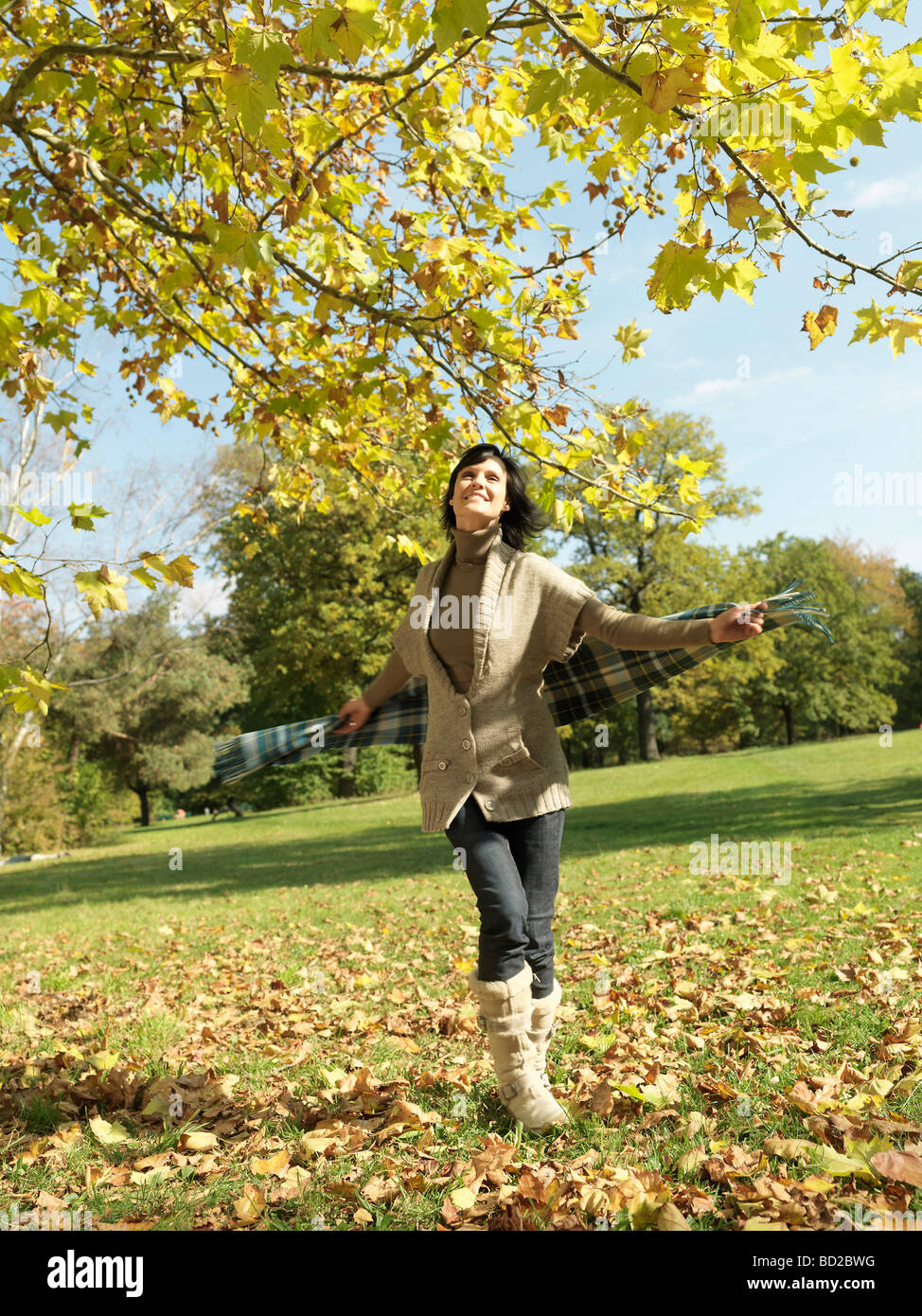 Well under trees hi-res stock photography and images - Alamy