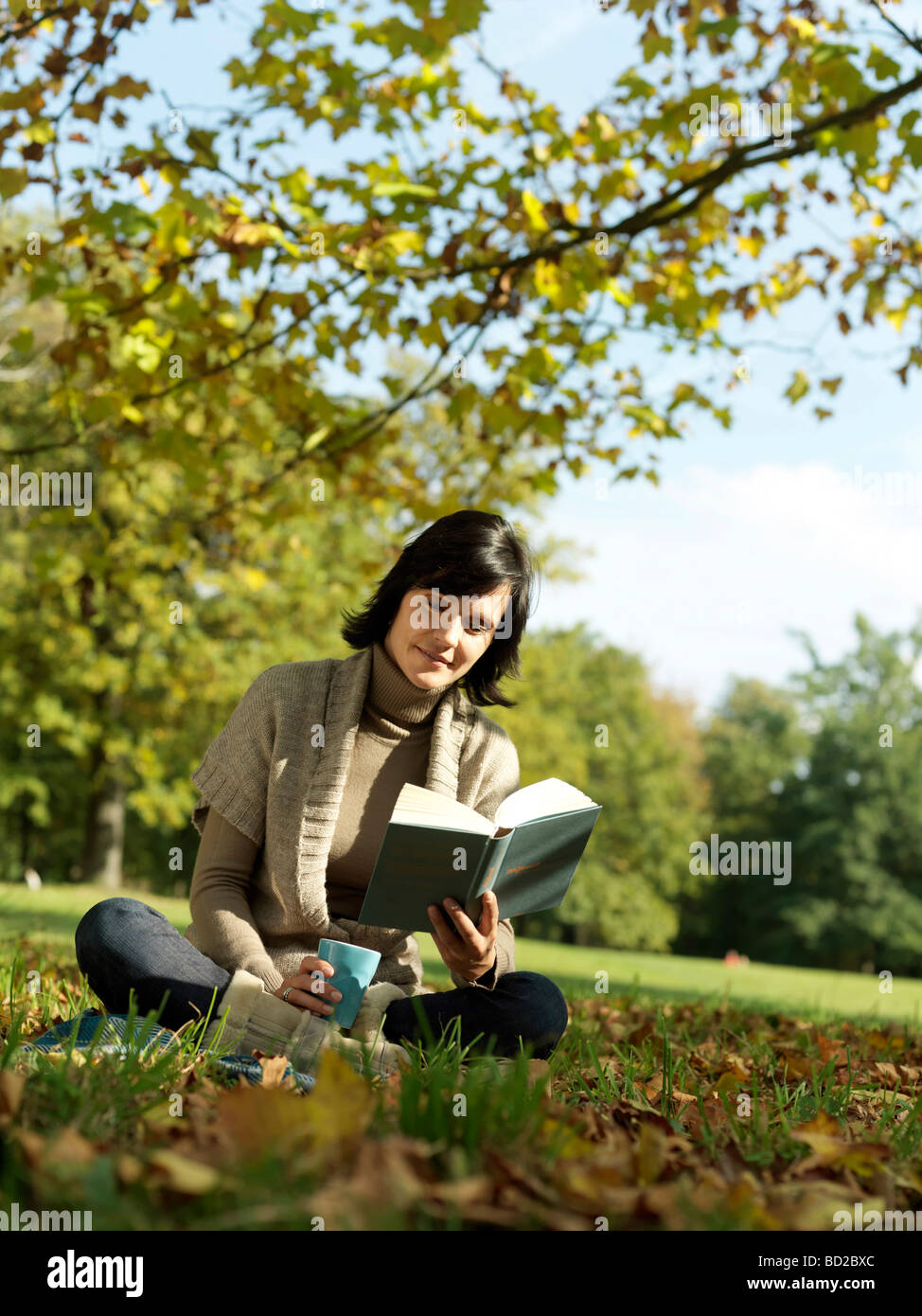 Woman under tree reading book in Autumn Stock Photo - Alamy