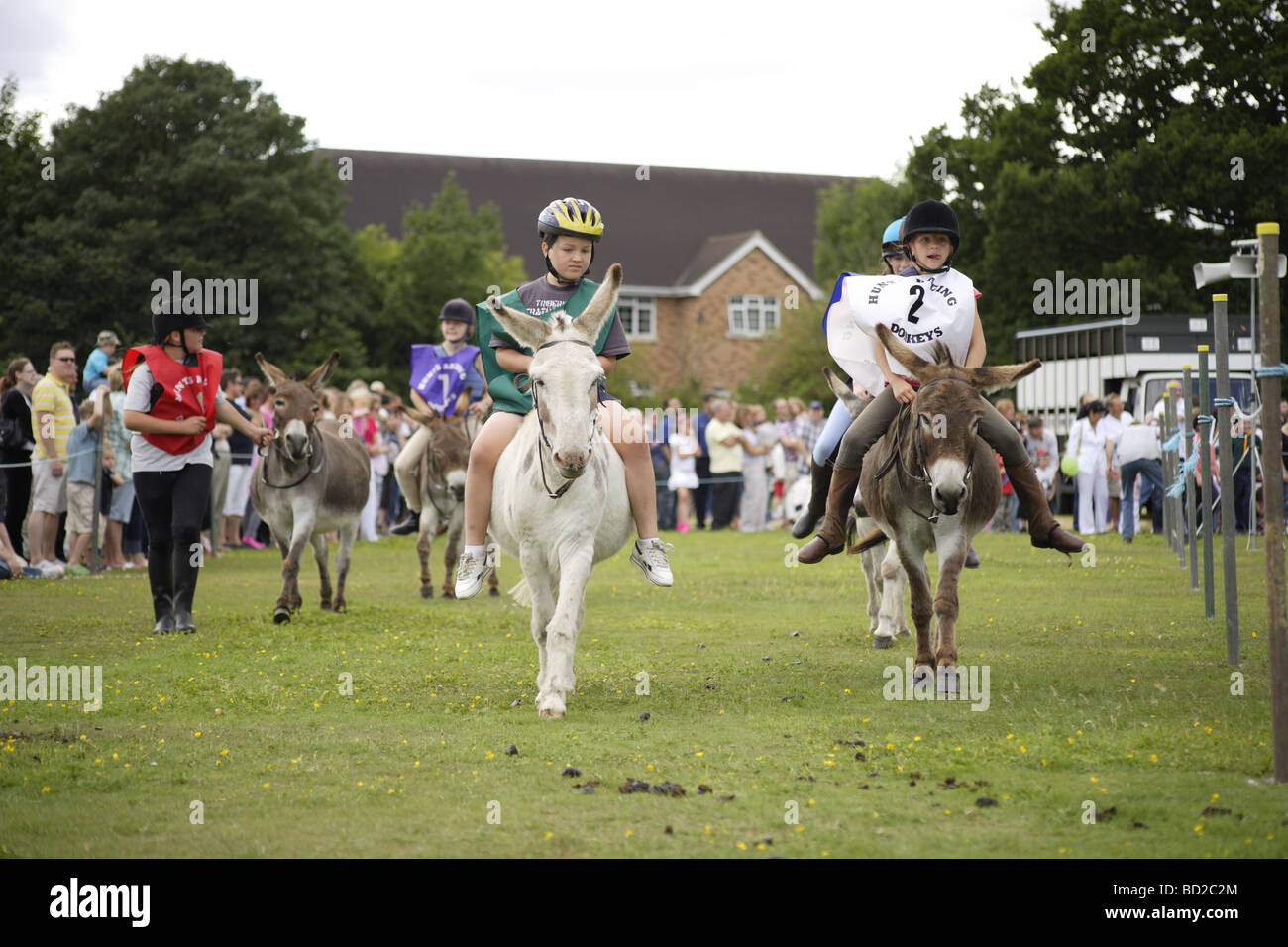 Donkey derby,old English traditional summer practice of small towns and ...