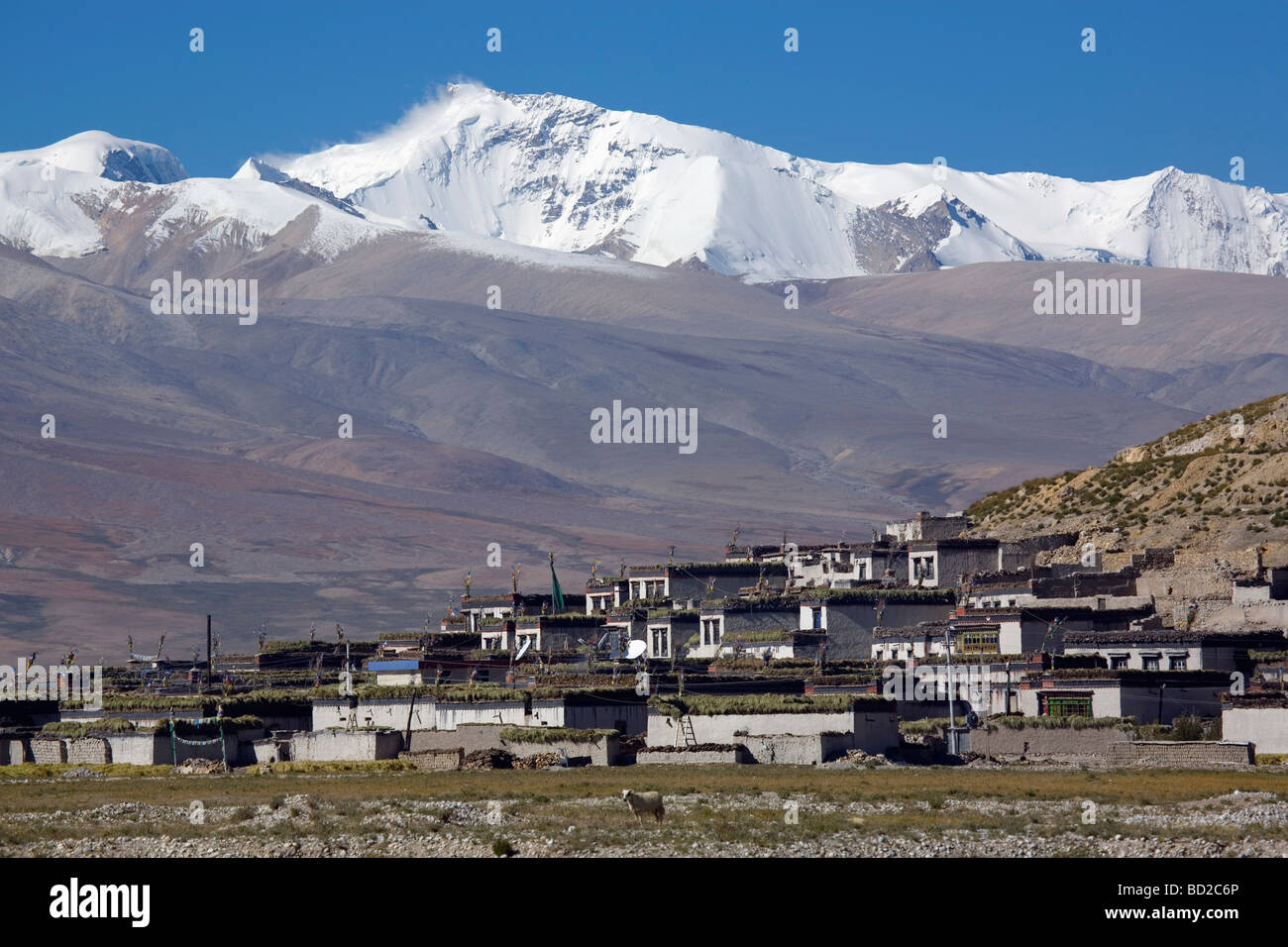 Rural scene in Tibet,China Stock Photo - Alamy