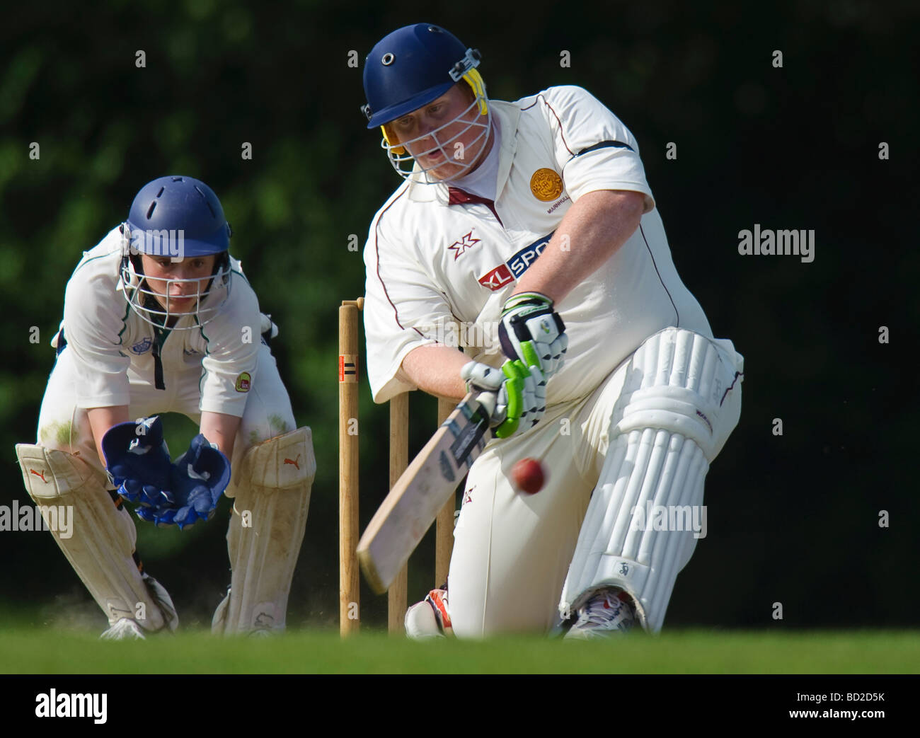 Batsman in action Stock Photo - Alamy