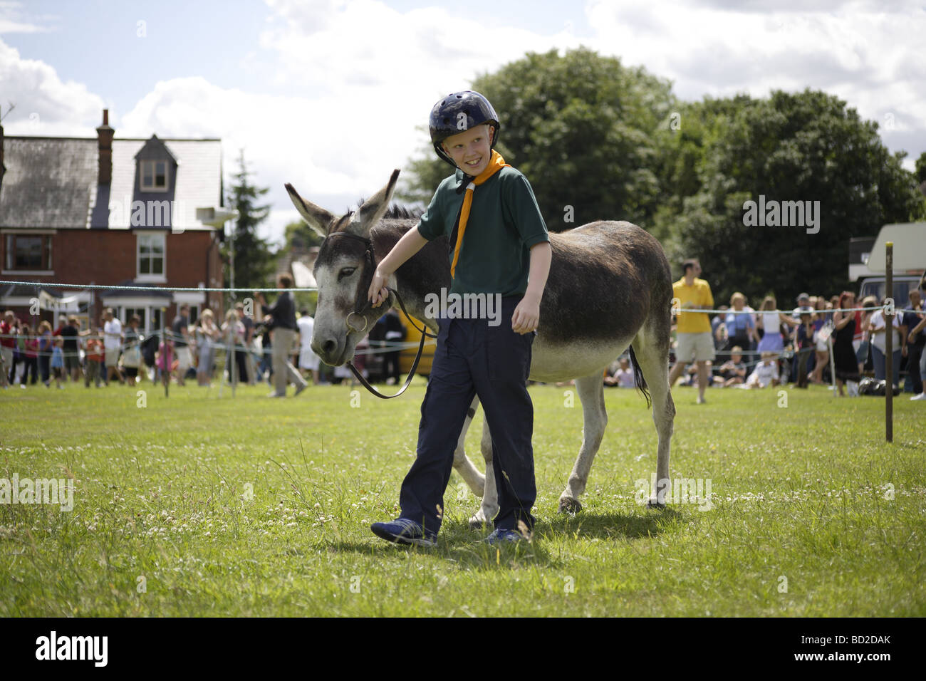 Donkey derby,old English traditional summer practice of small towns and ...