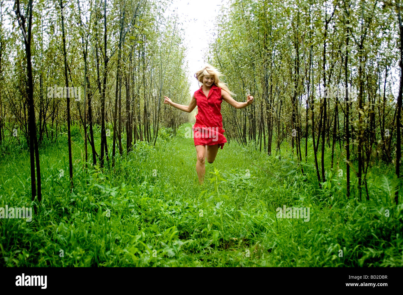 Young woman running in forest Stock Photo - Alamy