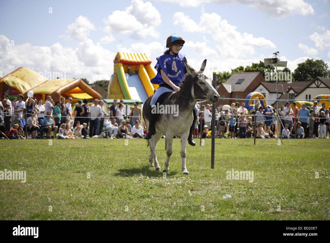 Donkey derby,old English traditional summer practice of small towns and ...