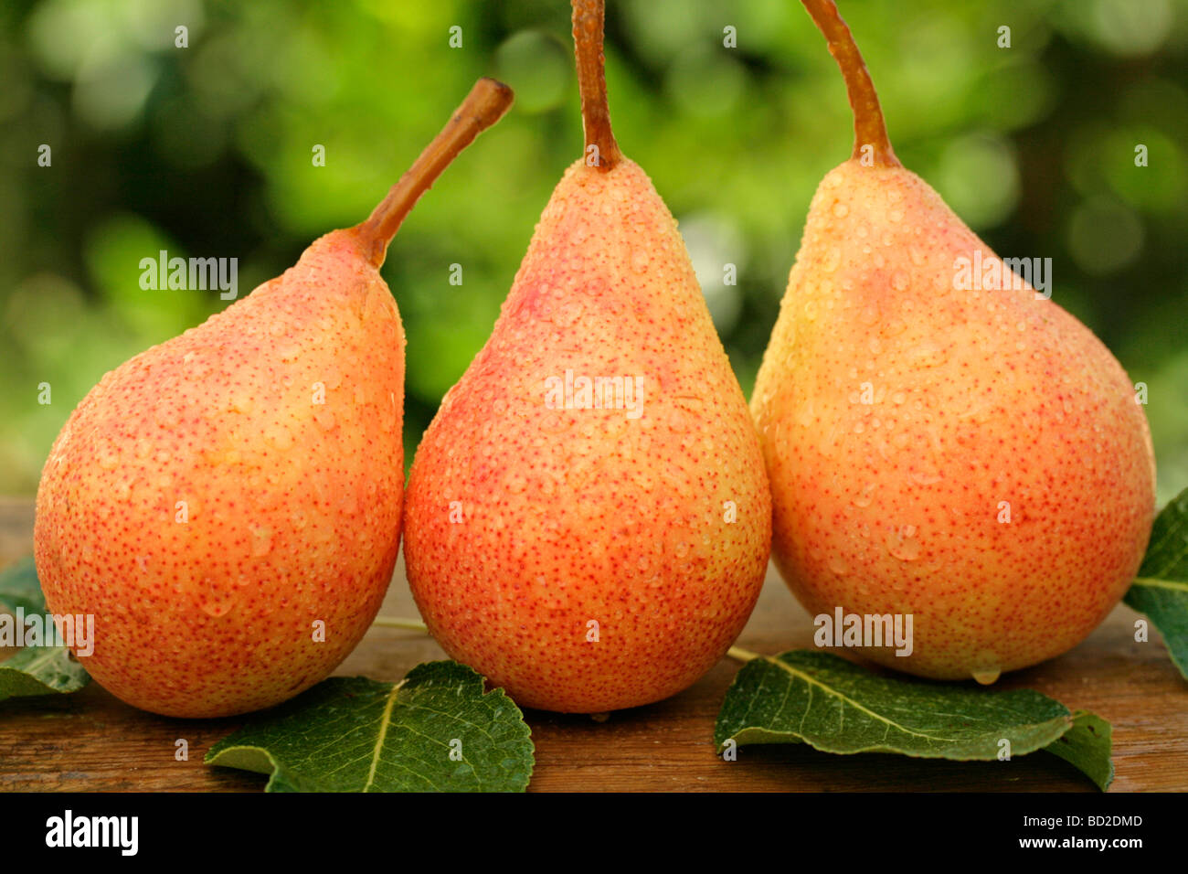 Essential requirement hi-res stock photography and images - Alamy