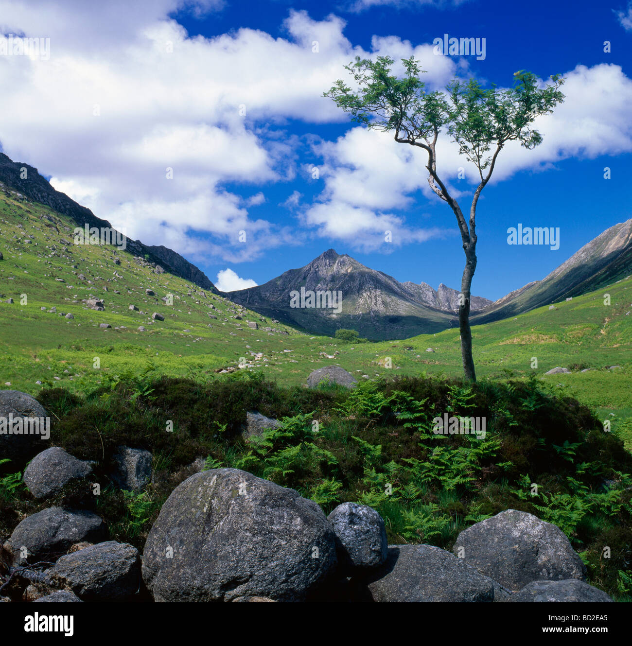 Goat Fell mountain Isle of Arran Scotland Stock Photo - Alamy