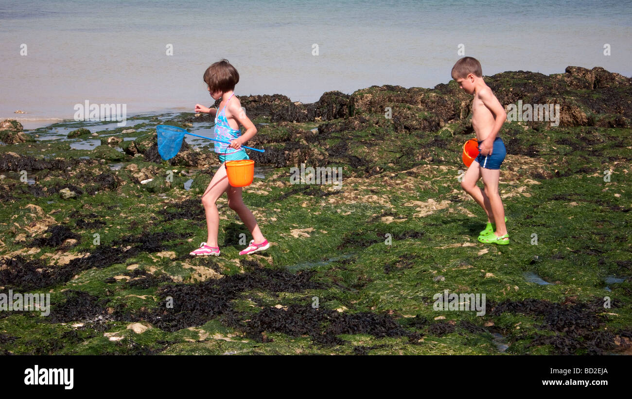Fishing in rock pool hi-res stock photography and images - Alamy