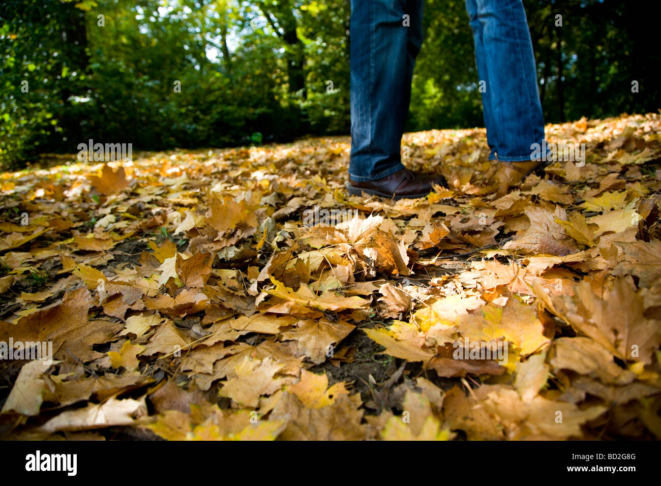 Loving couple in park Stock Photo - Alamy