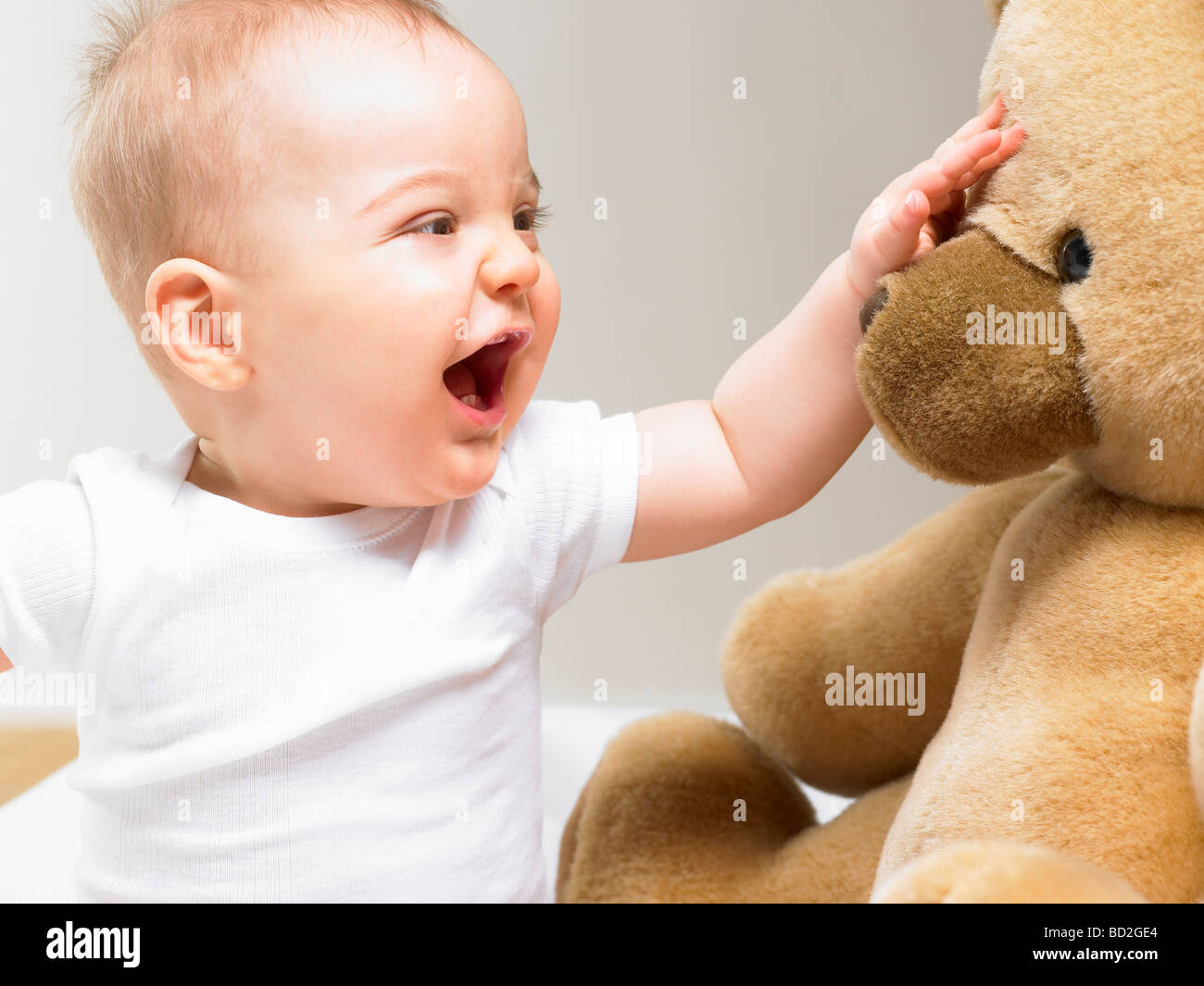 Image of teddy bear hi-res stock photography and images - Alamy