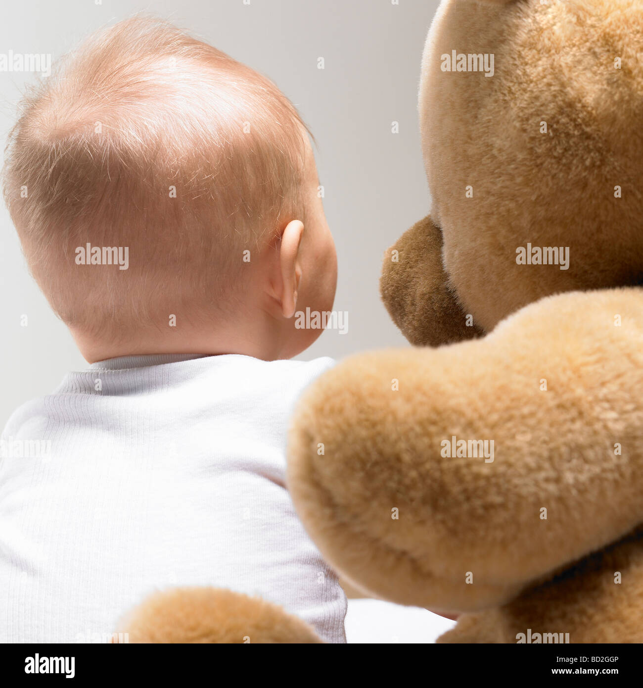 Image of teddy bear hi-res stock photography and images - Alamy