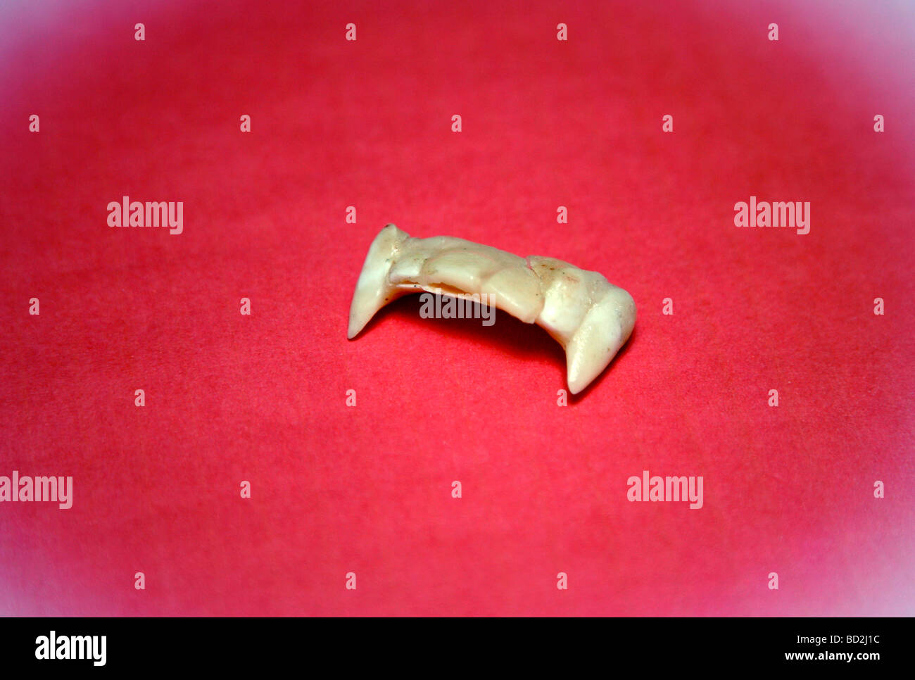 Fangs hi-res stock photography and images - Alamy