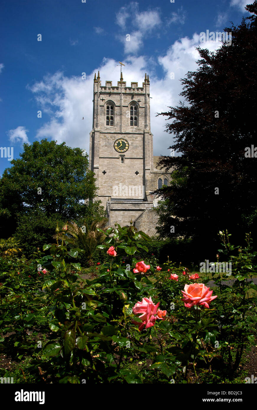 Christchurch Dorset UK Priory Park Roses Stock Photo - Alamy