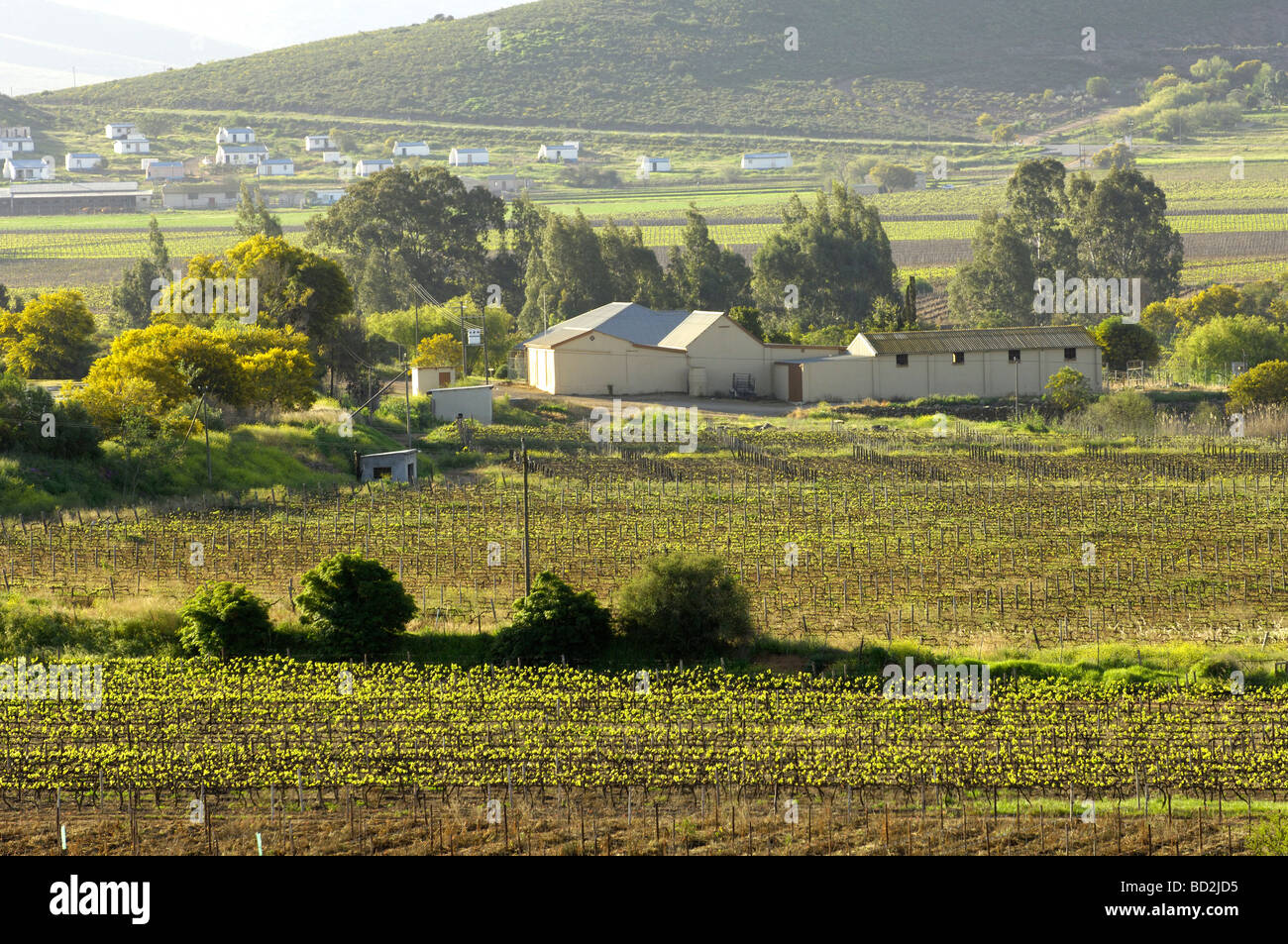 Bonnievale hi-res stock photography and images - Alamy