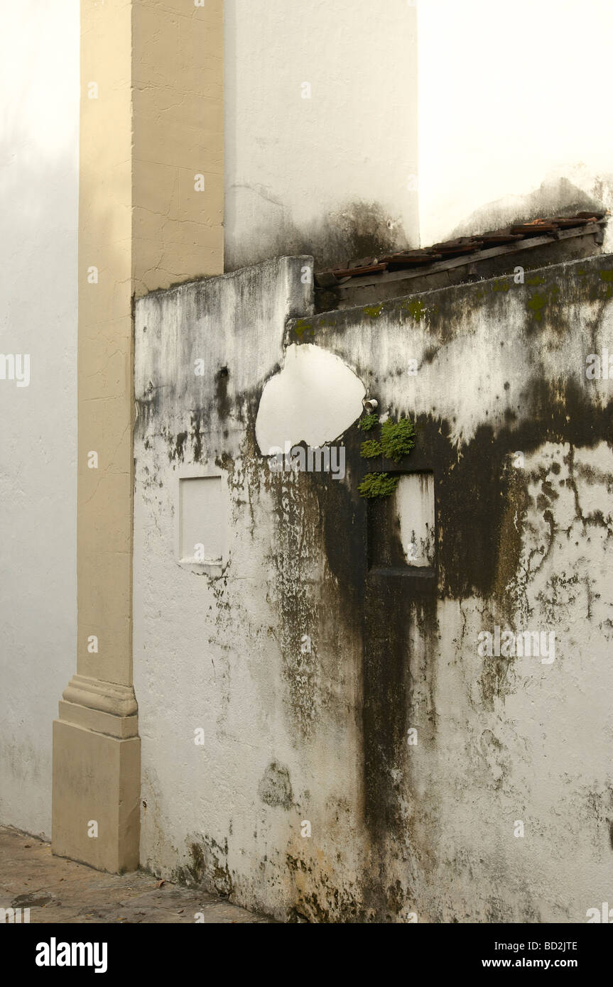 Water damaged plaster wall on street in Olinda Recife Brazil Stock ...