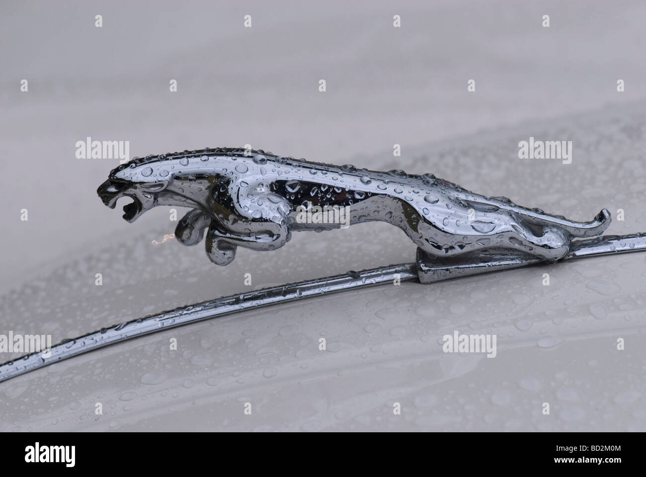 Motor badge hi-res stock photography and images - Alamy