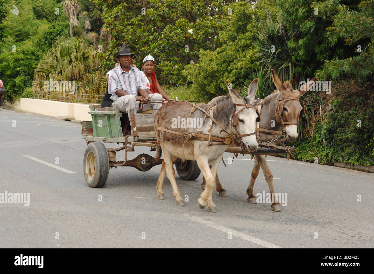 Donkey and cart in Barrydale, Western Cape, South Africa Stock Photo ...
