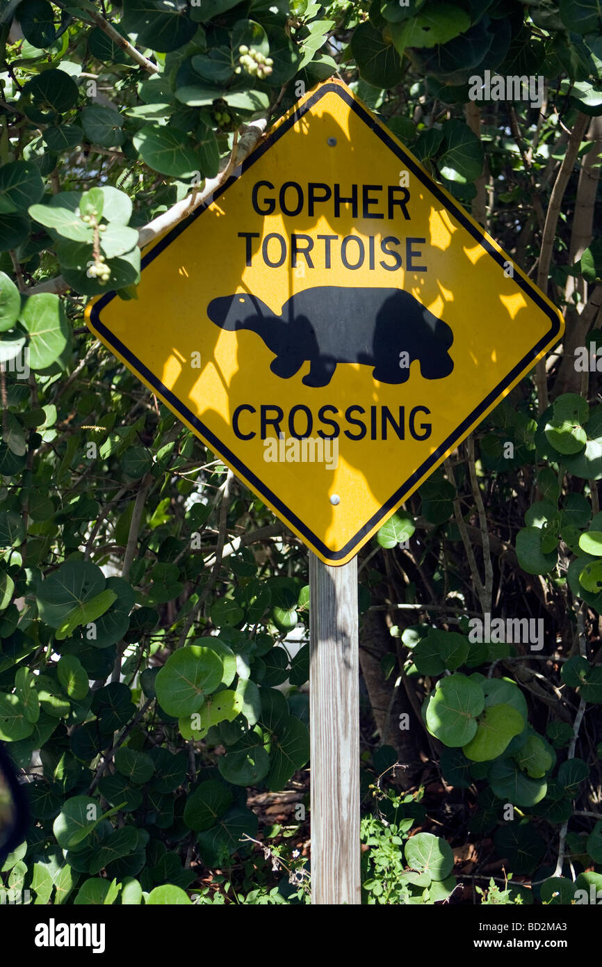 Gopher Tortoise Crossing Sign - Sanibel Island, Florida Stock Photo - Alamy