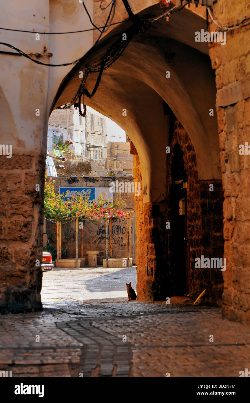 Israel Galilee Acre the Old walled City Stock Photo - Alamy