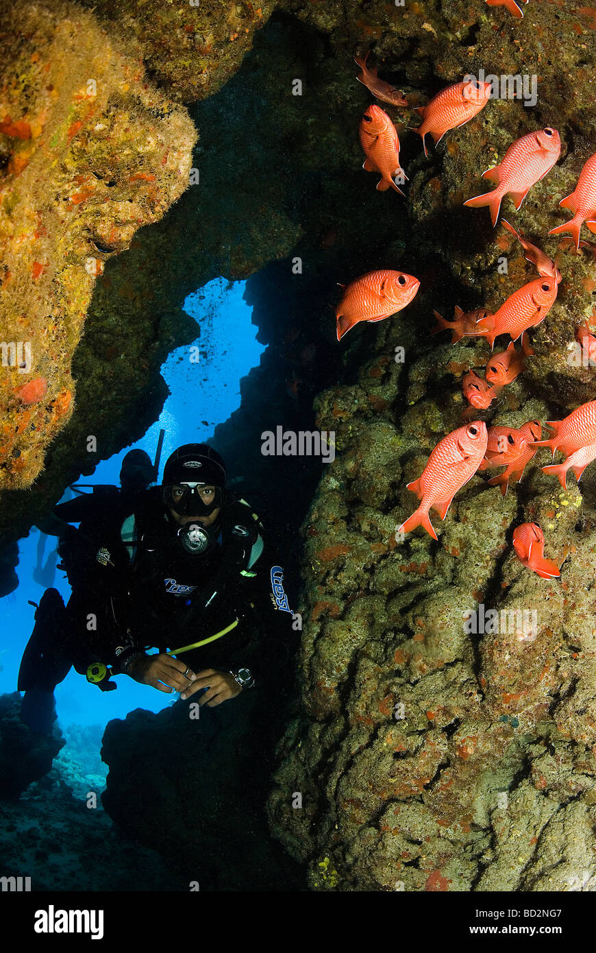 Red fish in cave hi-res stock photography and images - Alamy