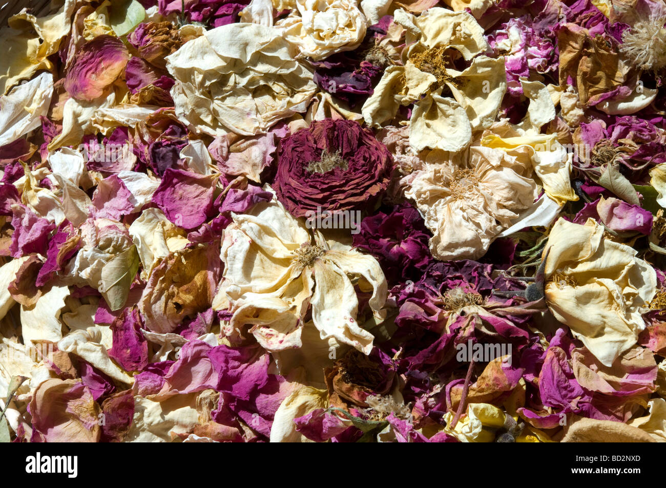 Drying roses hi-res stock photography and images - Alamy