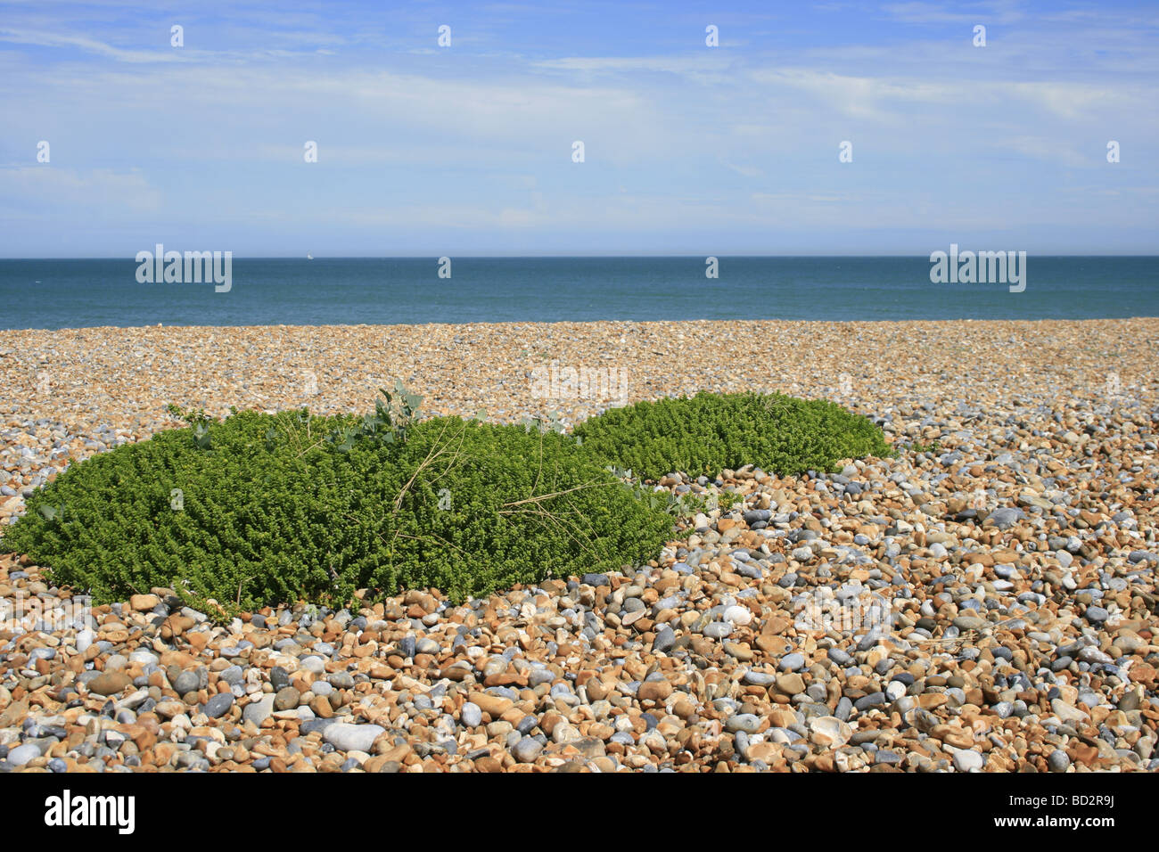 The pebble beach at Deal, Kent Stock Photo - Alamy
