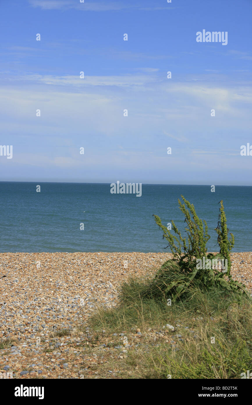 The pebble beach at Deal, Kent Stock Photo - Alamy