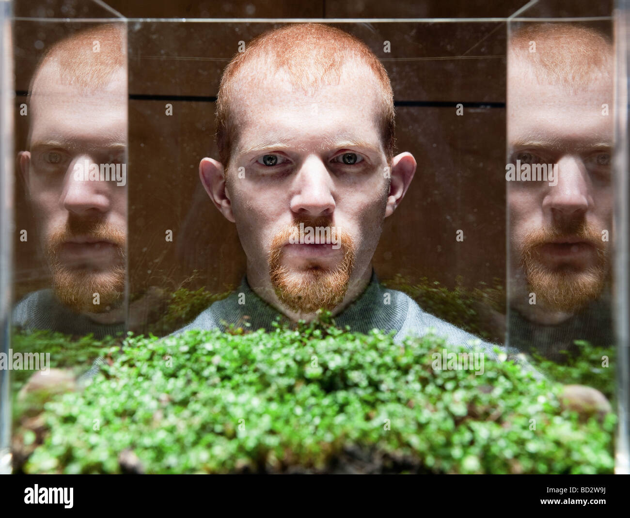 Man observing green plant Stock Photo - Alamy
