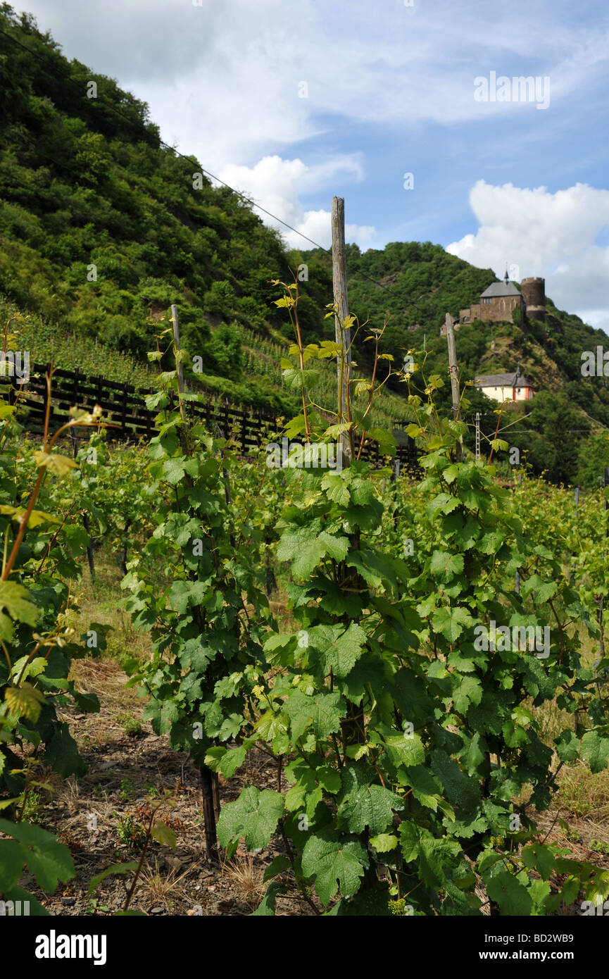 Reisling town hi-res stock photography and images - Alamy